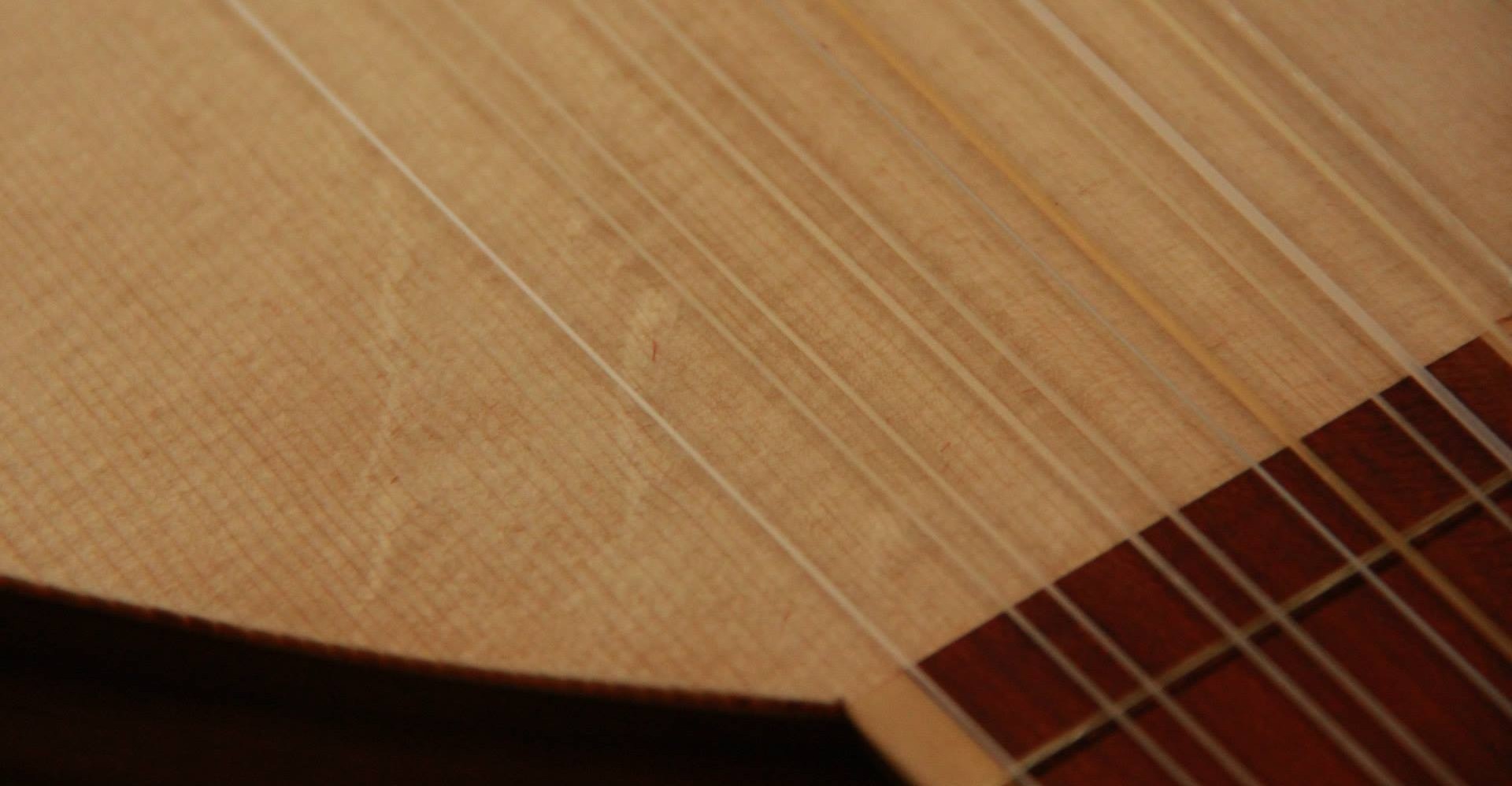 Haselfichte | Luteshop