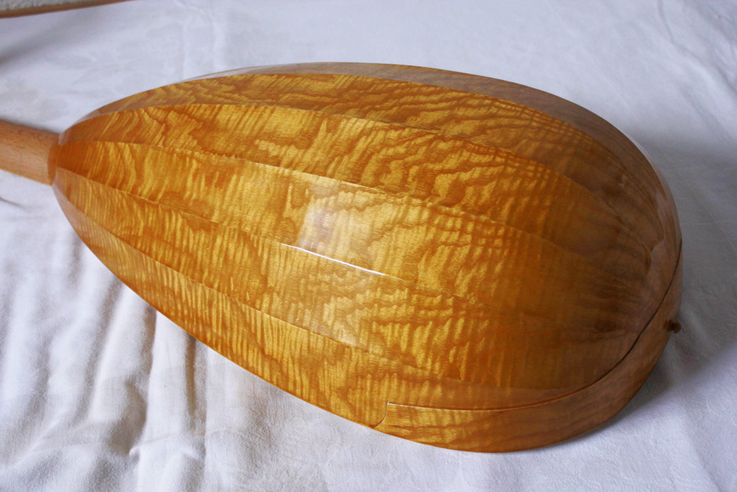 Luteshop | Martin Shepherd – Lutenist and maker of fine lutes since 1982